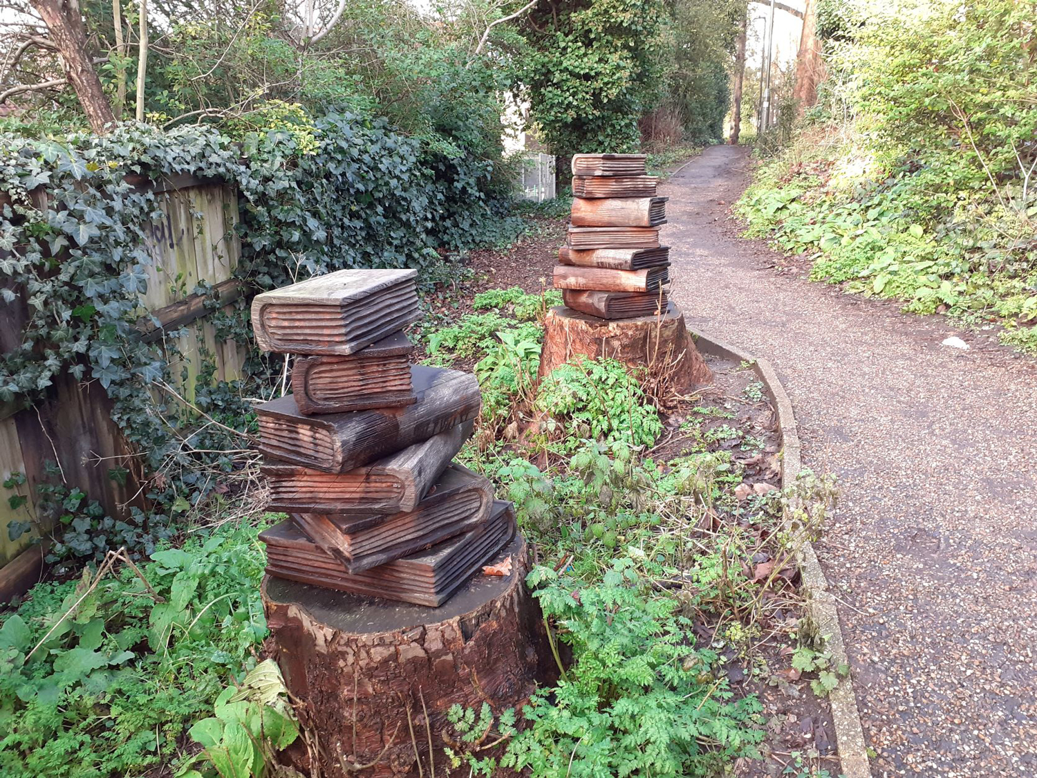 Old Library Woods, Norwich – Norwich and Norfolk Design and ...